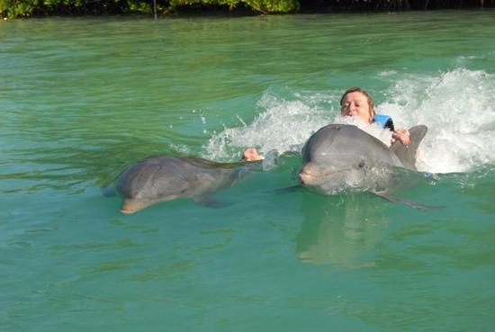 Places To Swim With Dolphins In Cuba – VNUMS
