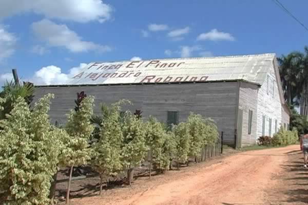 Atracciones en Cuba - Finca Alejandro Robaina