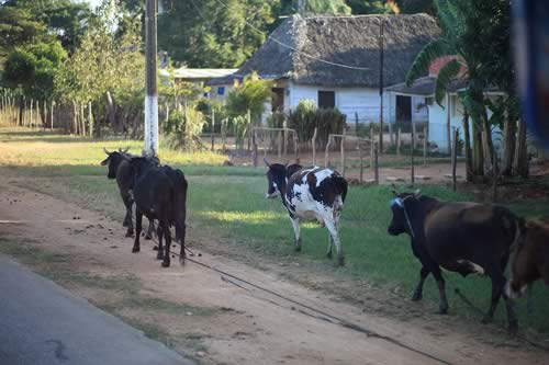 Cuba attractions – Morón city