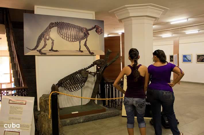 Cuba attractions – Museum of Natural History
